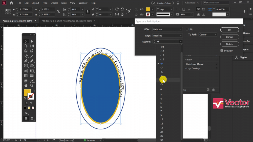 Adobe InDesign - VECTOR